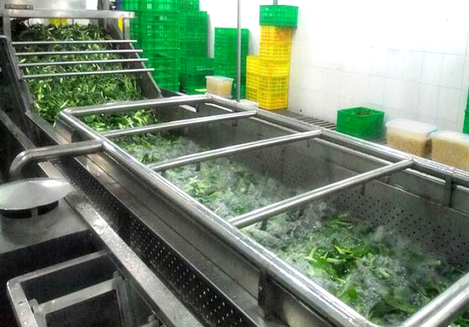 Industrial Vegetable Washing Machine-LOFTY